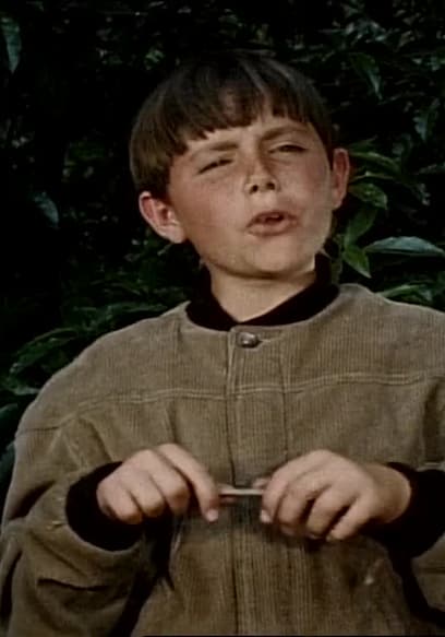 Watch Skippy S01:E06 - The Lyre Bird - Free TV Shows | Tubi