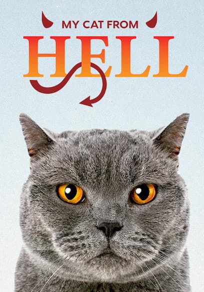 Watch My Cat from Hell - Free TV Shows | Tubi