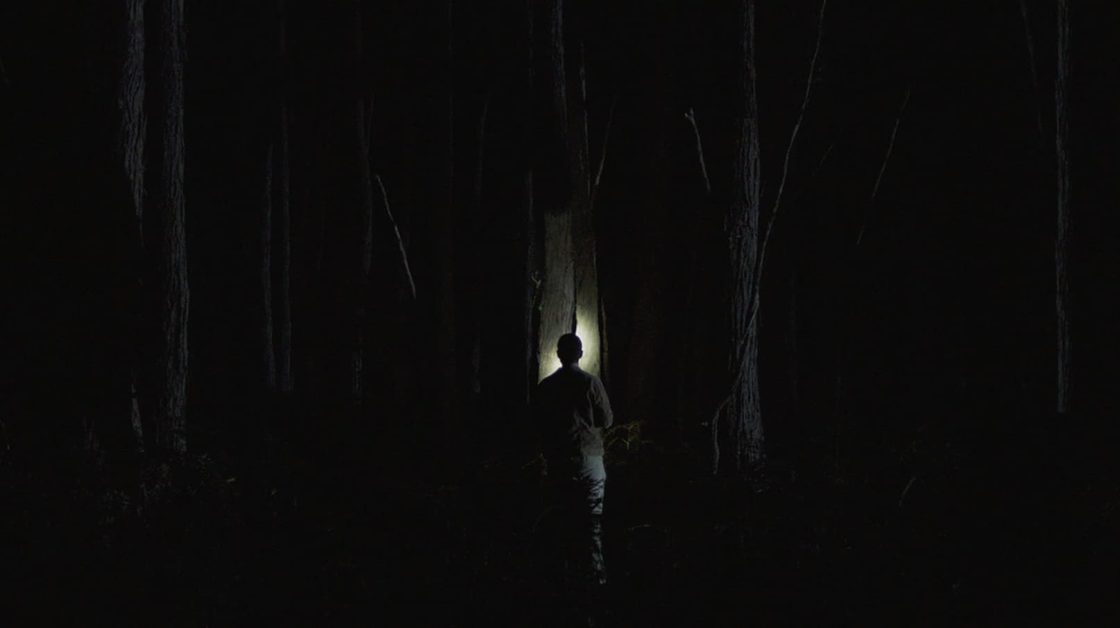 Watch Wolf (2017) - Free Movies | Tubi