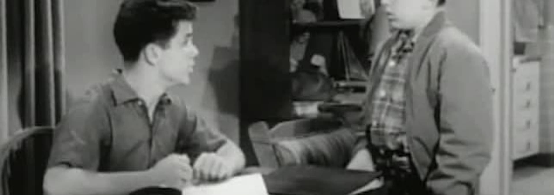 Watch Leave It to Beaver: The Lost Episode (1960) - Free Movies | Tubi