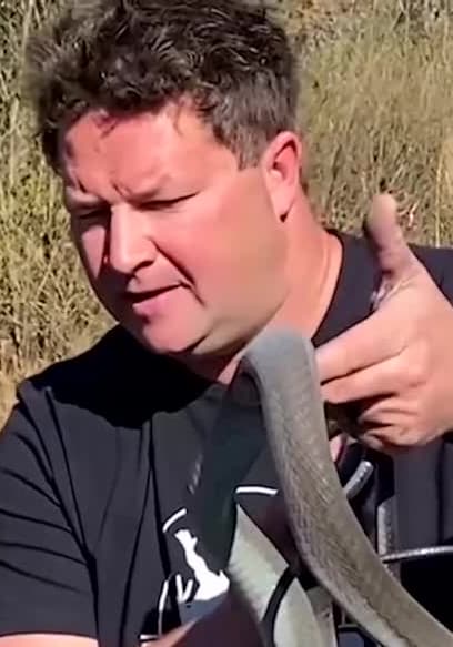 Watch Dingo Untamed S01:E11 - Free Handling Black Mamba - Free TV Shows ...