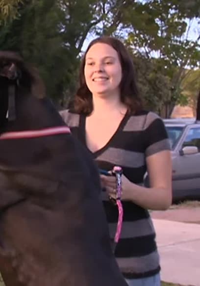 Watch All About Animals S02:E04 - Dugongs, Great Danes, and Horseback ...