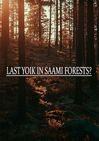 Watch Last Yoik in Saami Forests (2006) - Free Movies | Tubi