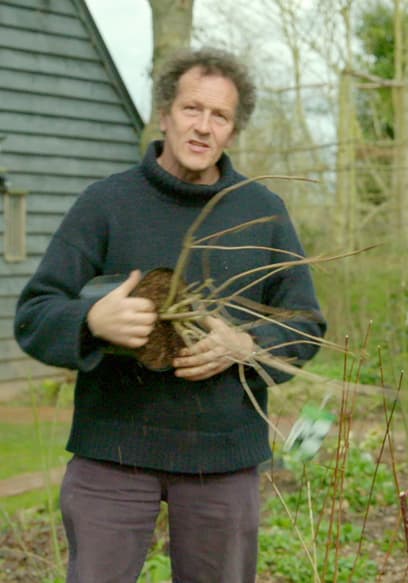 Watch Gardeners' World S08:E01 - Episode 1 - Free TV Shows | Tubi