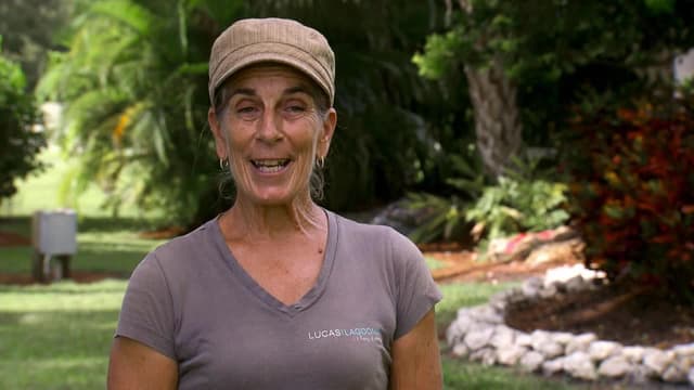 Watch Insane Pools: Off the Deep End - Free TV Shows | Tubi