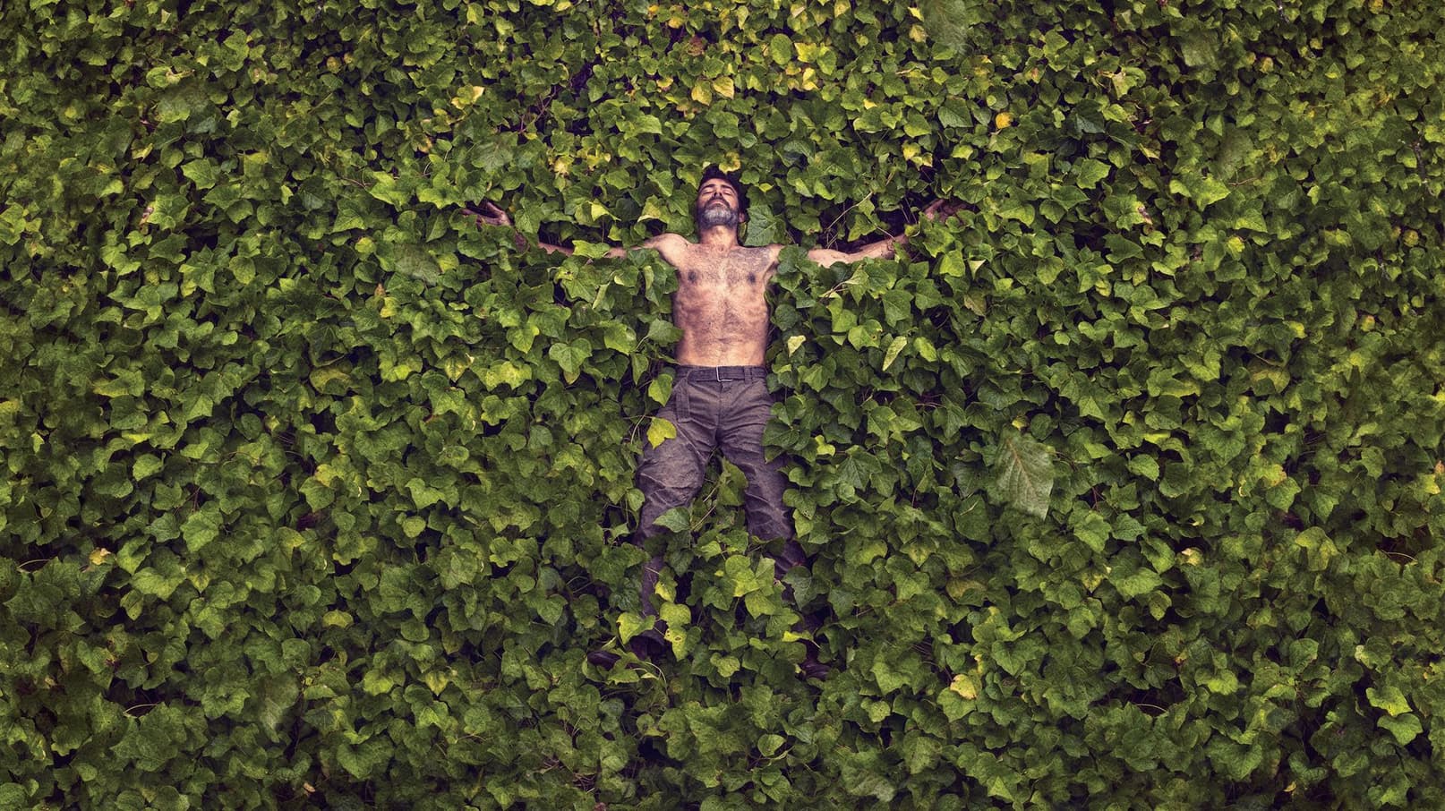 Watch Solitarium (2025) - Free Movies | Tubi