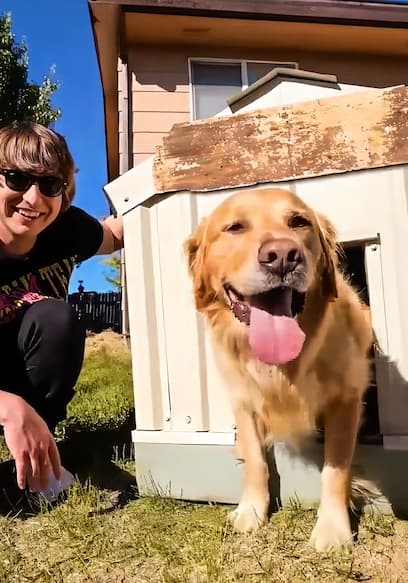Watch Matthew Beem S01:E02 - I Built a $25,000 Dream Dog House and Tree ...