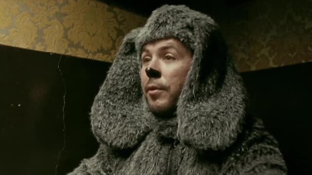 Watch Wilfred S01:E01 - There Is A Dog - Free TV Shows | Tubi