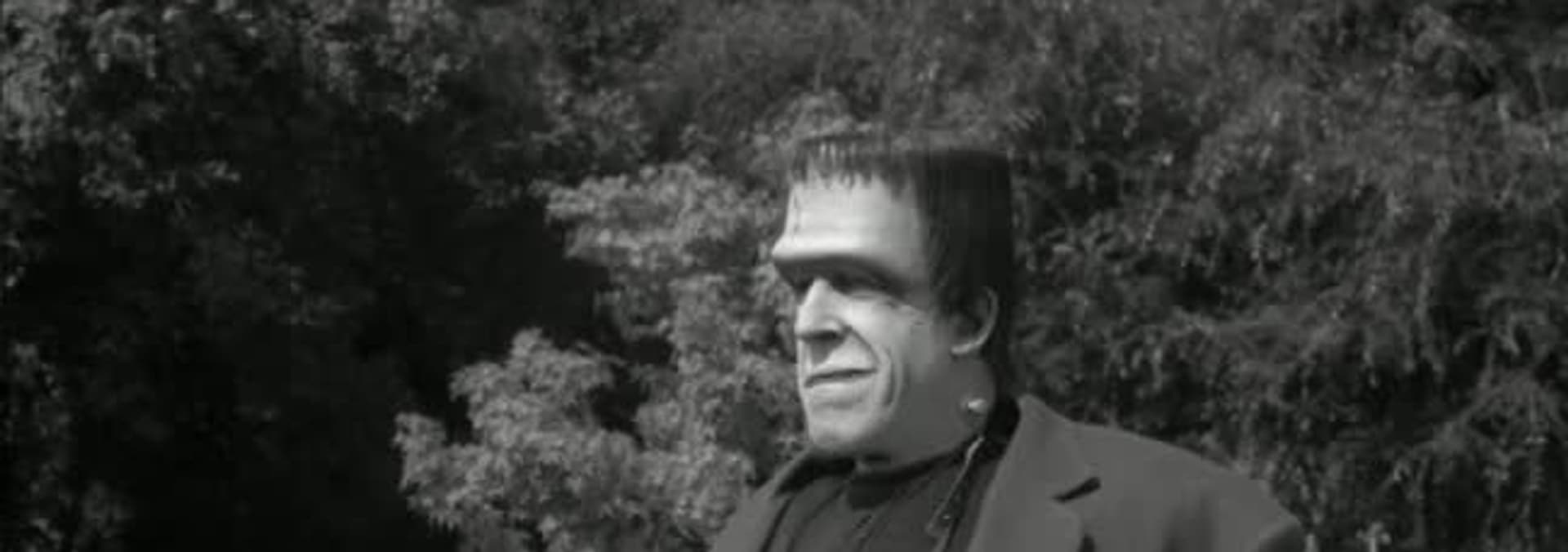 Watch The Munsters S02:E04 - Herman Munster, Shutter Bug - Free TV ...