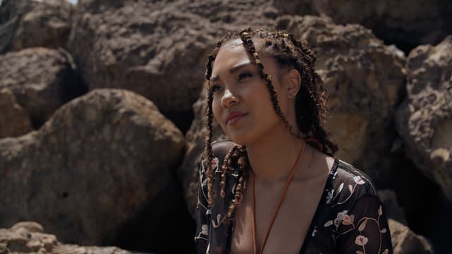 Watch A House Divided S05:E07 - Clean Up Shop - Free TV Shows | Tubi