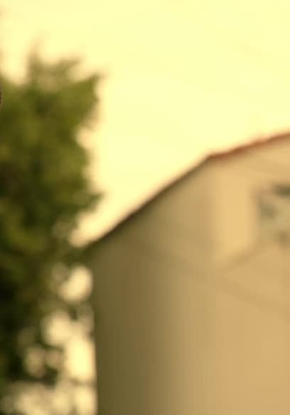 Watch Training Day S01:E10 - Sunset - Free TV Shows | Tubi