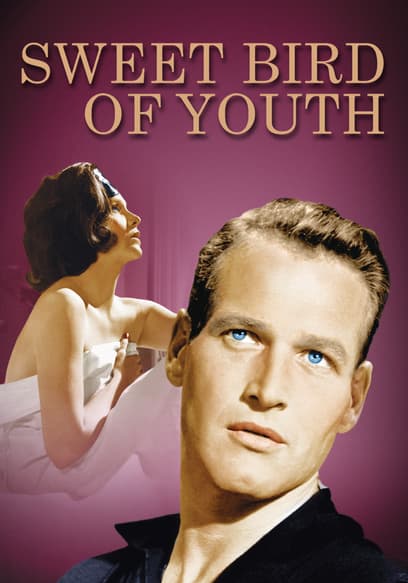 Watch Sweet Bird of Youth (1962) - Free Movies | Tubi