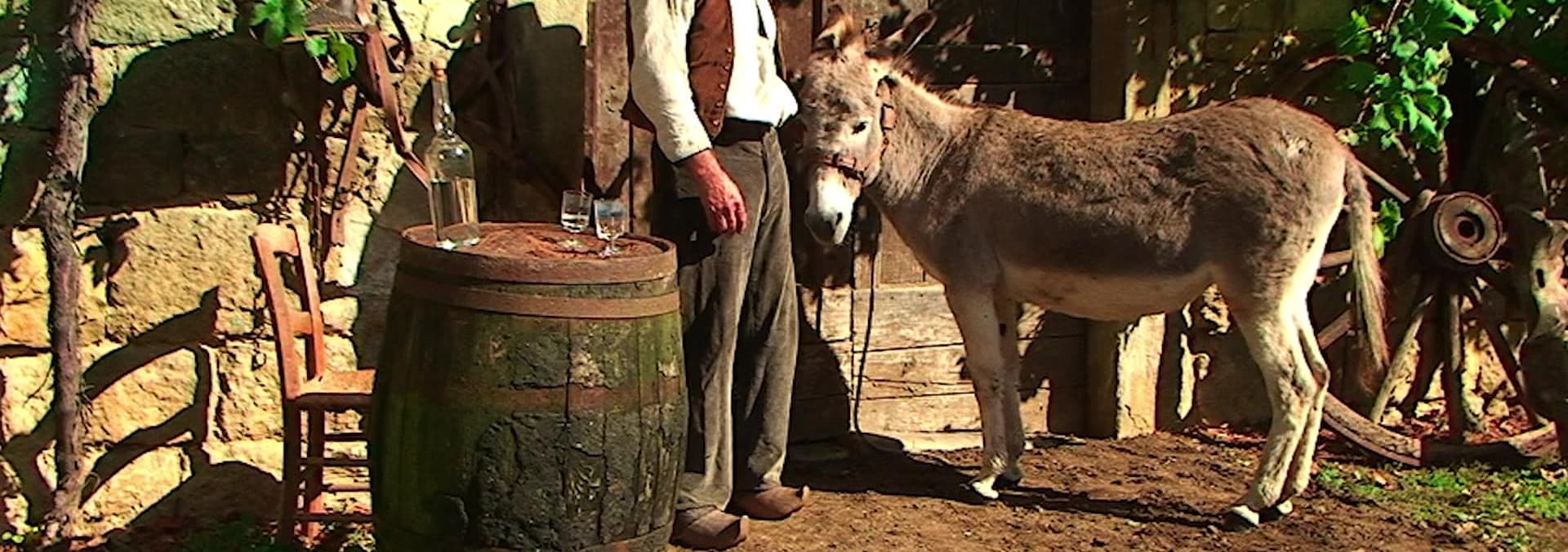 Watch Travels with a Donkey in the Cevennes (2015) - Free Movies | Tubi
