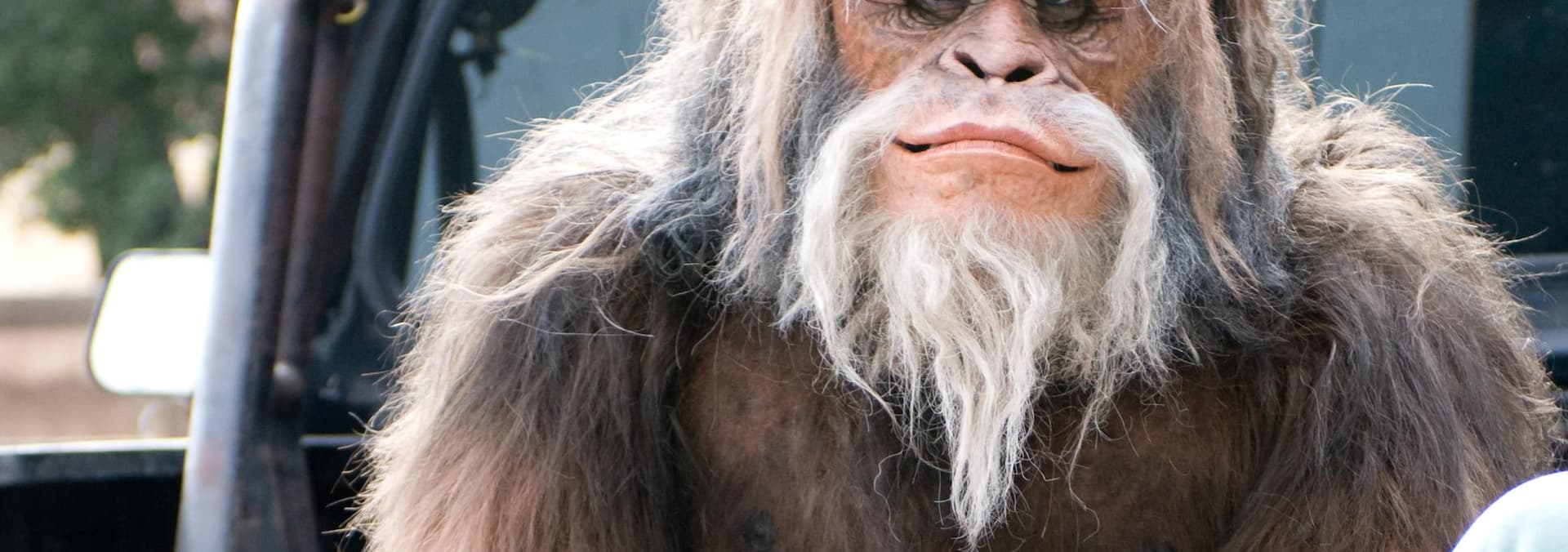 Watch Bigfoot (2009) - Free Movies | Tubi