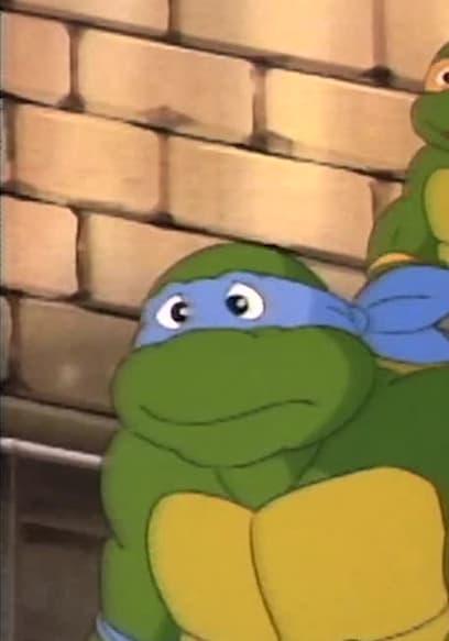 Watch Teenage Mutant Ninja Turtles S05:E09 - Napoleon Bonafrog ...