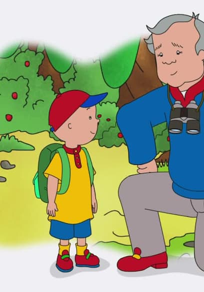 Watch Caillou S05:E21 - Blueberry Point // Class Pet // in the Garden ...