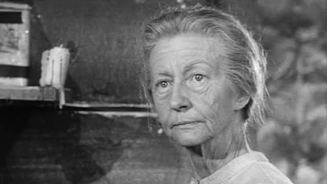 Watch The Beverly Hillbillies S01:E31 - The Clampetts Entertain - Free ...