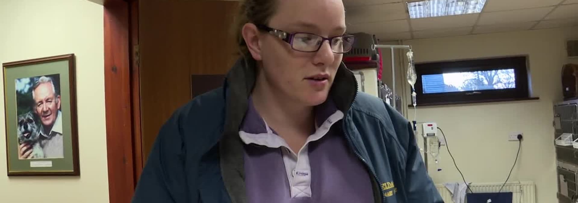 Watch The Yorkshire Vet S02:E02 - Episode 2 - Free TV Shows | Tubi