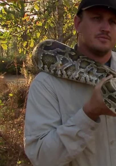 Watch Python Hunters S01:E02 - Dying to Survive - Free TV Shows | Tubi