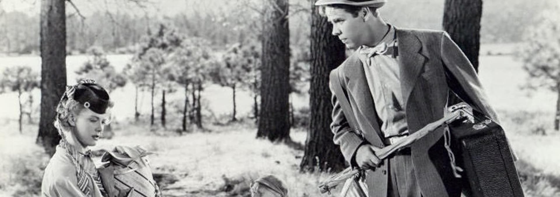 Watch Blondie Takes a Vacation (1939) - Free Movies | Tubi