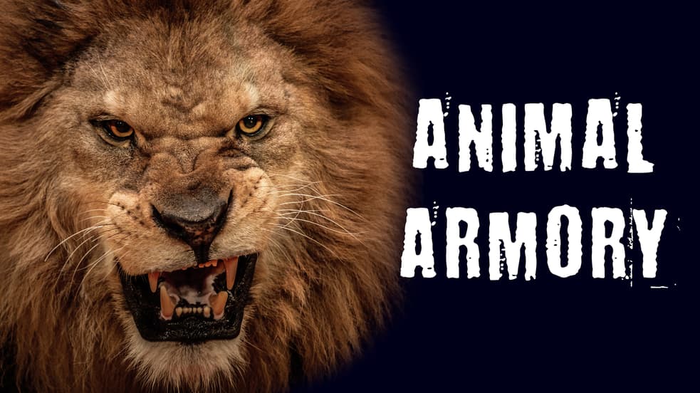 Watch Animal Armory Streaming Online | Tubi Free TV
