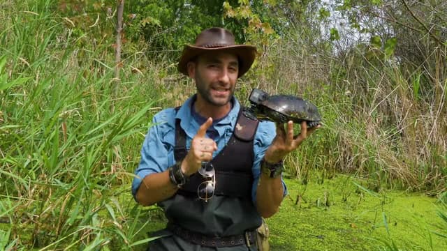 Watch Brave Wilderness S06:E09 - Turtle Rescue Mission - Free TV Shows ...