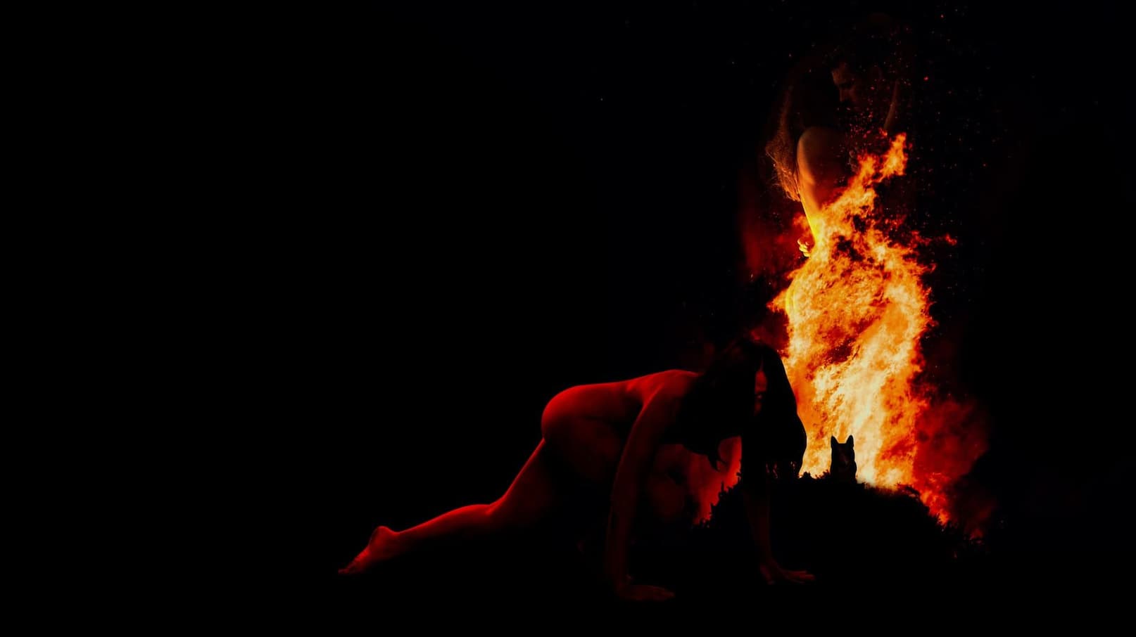 Watch Dog Skin and Other Stories (2025) - Free Movies | Tubi