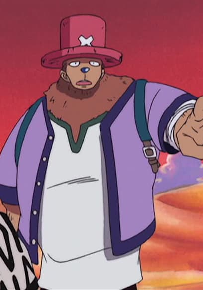 Watch One Piece (Subtitled) S02:E49 - Ruins and Lost Ways! Vivi, Her ...