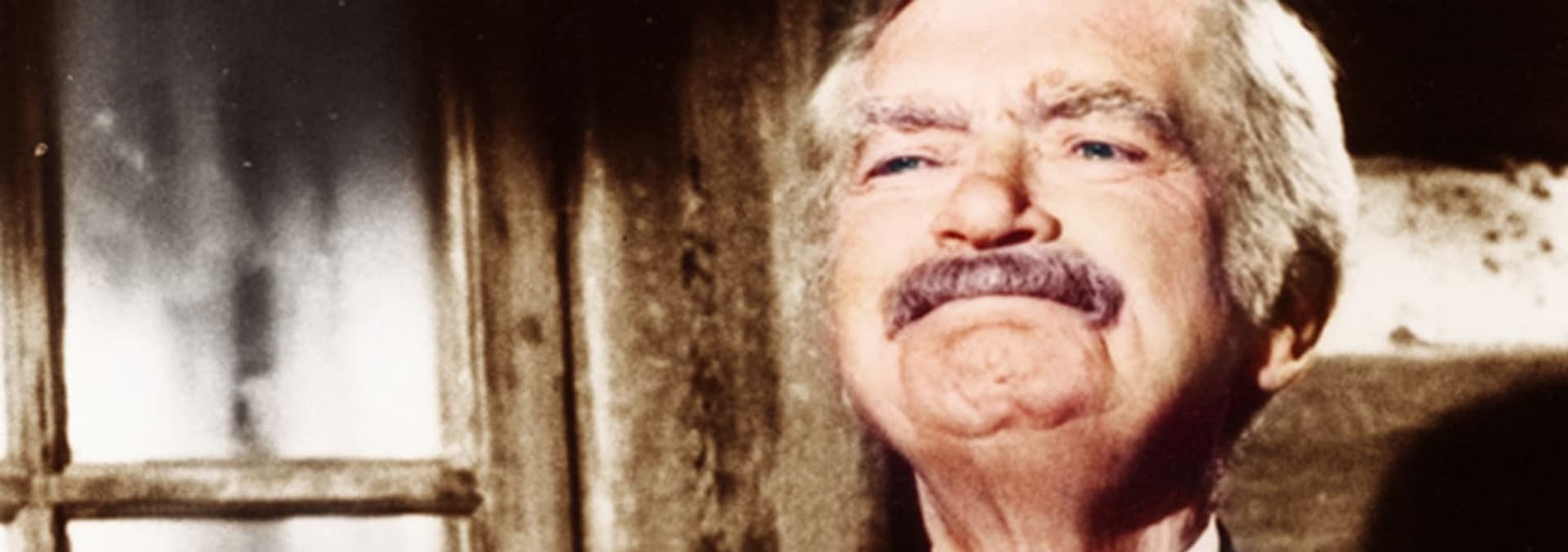 Watch The Return Of The Beverly Hillbillies 1981 Free Movies Tubi