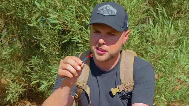 Watch Brave Wilderness S09:E12 - Would You Enter a Dragon-Infested Park ...