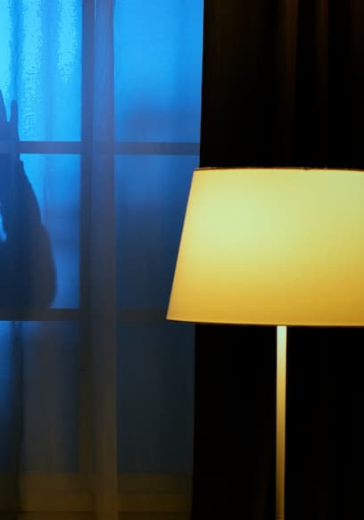 Watch TMZ Investigates S01:E01 - TMZ Investigates: Obsessed & Dangerous ...