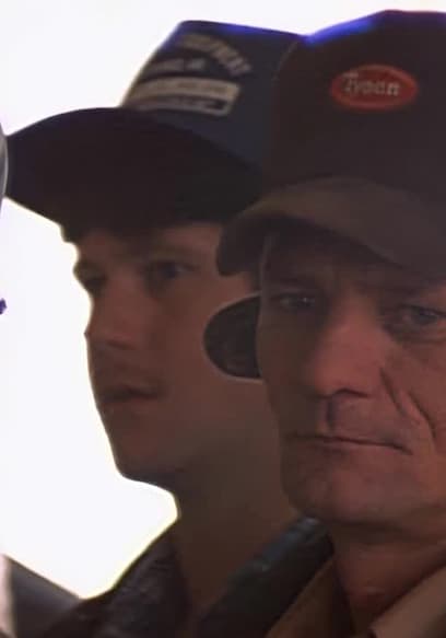 Watch Wild America S10:E1008 - Ringtailed Rascals - Free TV Shows | Tubi