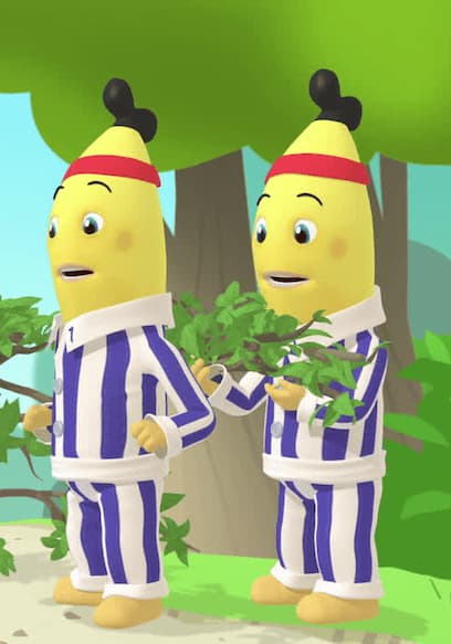 Watch Bananas in Pyjamas Animated Series S01:E99 - The Challenge - Free ...