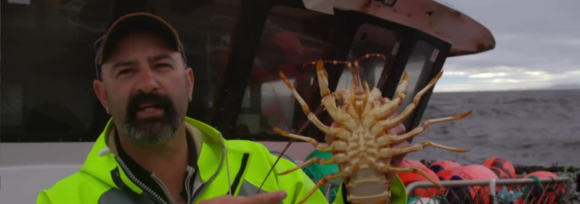 Watch Giant Lobster Hunters S03:E08 - Episode 8 - Free TV Shows | Tubi