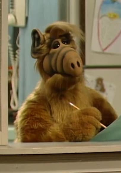 Watch ALF S02:E20 - Hit Me with Your Best Shot - Free TV Shows | Tubi