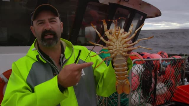 Watch Giant Lobster Hunters S03:E08 - Episode 8 - Free TV Shows | Tubi