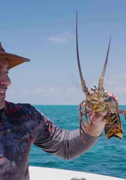 Watch Brave Wilderness S10:E03 - Sliced by a Spiny Lobster! Croc Catch ...