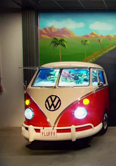 Watch Tanked S09:E03 - Gabriel Iglesias' Fluffy Tank - Free TV Shows | Tubi