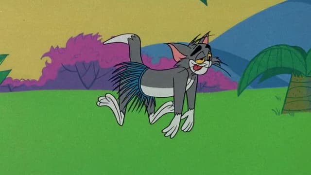 Watch Tom and Jerry: Chuck Jones Collection S01:E09 - Shutter Bugged ...