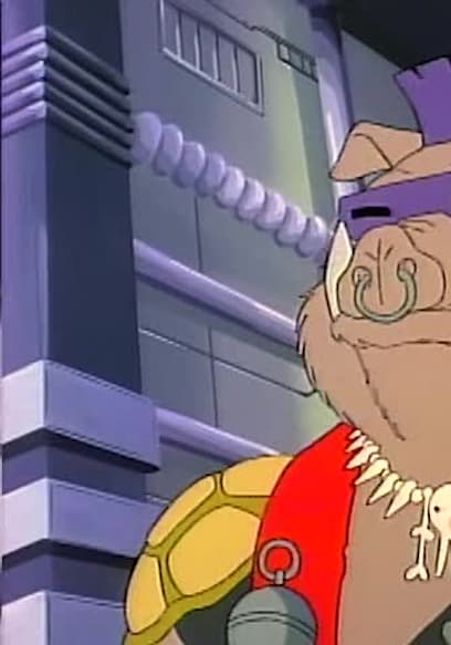 Watch Teenage Mutant Ninja Turtles S04:E37 - Big Bug Blunder - Free TV ...