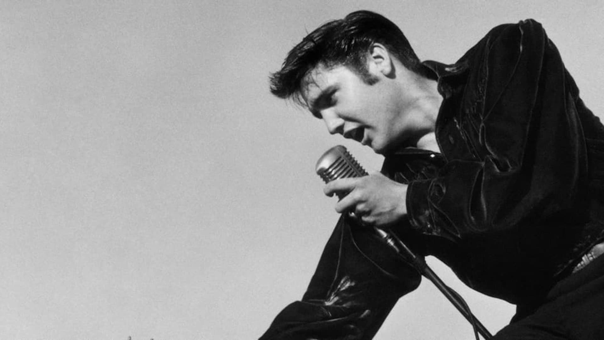 Watch Loving Elvis - Free TV Shows | Tubi