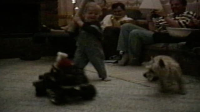 Watch Funniest Pets & People S01:E26 - Mishaps - Free TV Shows | Tubi