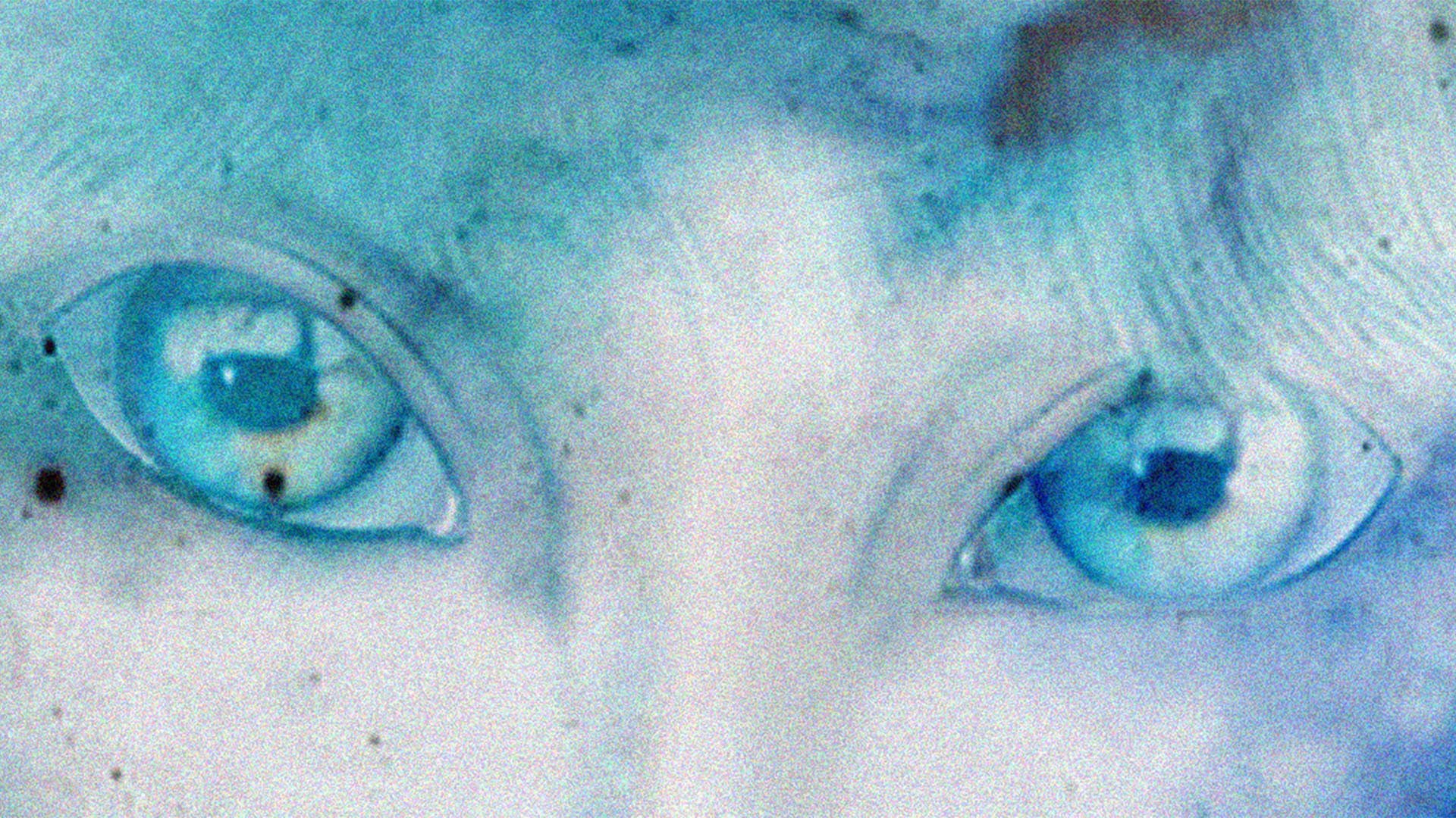 Watch Interview with E.D.: Extra Dimensionals - Free TV Shows | Tubi
