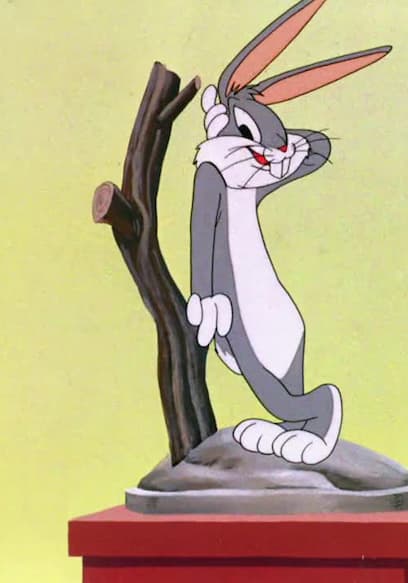 Watch Looney Tunes S09:E16 - Birdy and the Beast / Little Red Riding ...