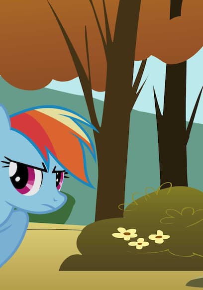Watch My Little Pony: Friendship Is Magic S01:E13 - Fall Weather ...