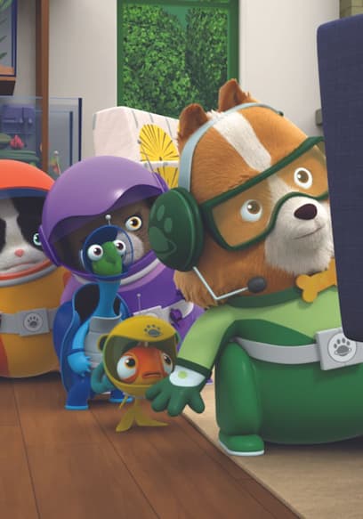 Watch Agent Binky: Pets of the Universe S03:E59 - Picture Purst ...