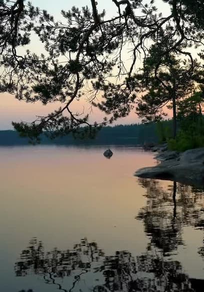 Watch Fireplace Lounge S03:E08 - Soothing Outdoor Campfire - Free TV ...