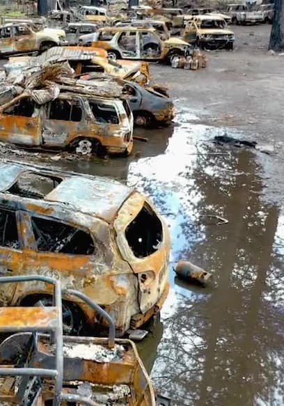 Watch Deadly Disasters S02:E01 - Wildfires - Free TV Shows | Tubi