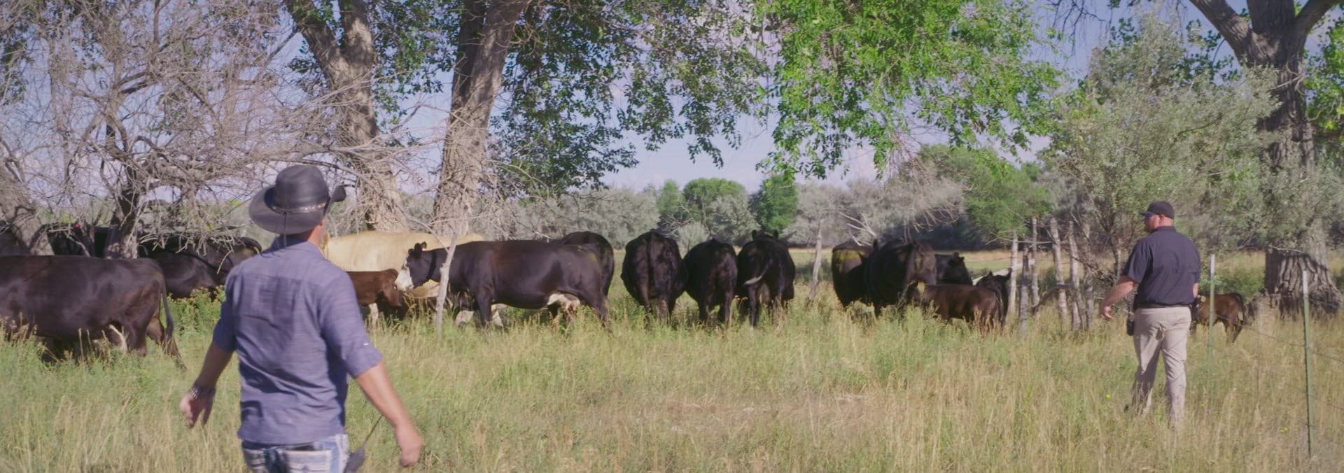 Watch The Secret of Skinwalker Ranch S05:E09 - Spinning Out - Free TV ...