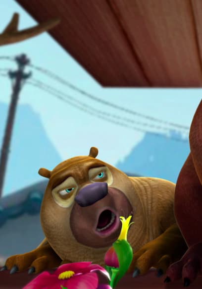 Watch Boonie Bears or Bust S02:E26 - The Dumpling King / Stinky Tofu ...